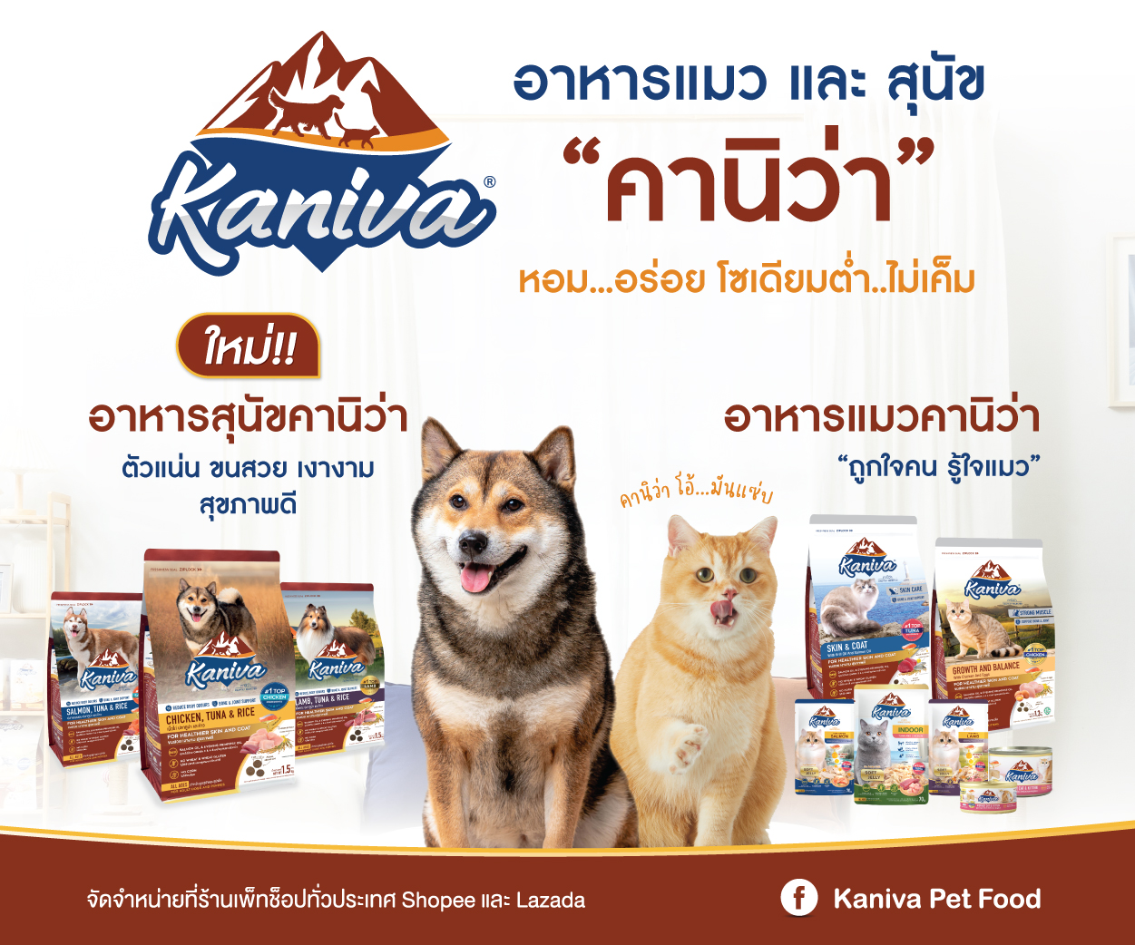 Mellow POP MOVE TO CHANGE | Mellow Pop